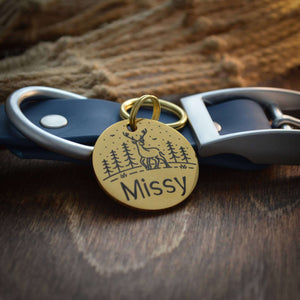 Dual Pet Protection: Microchips & ID Tags Explained